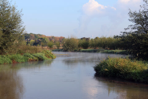 Die Erft - Erftverband