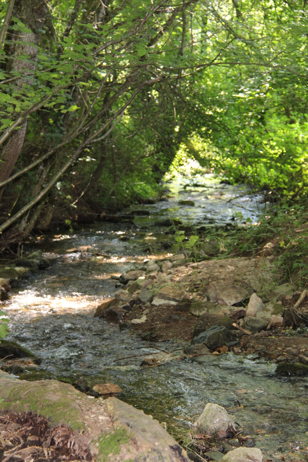 Flussland­schaft Erft - Erftverband