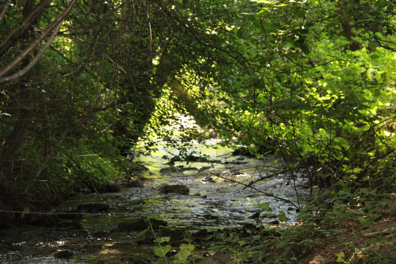 Flussland­schaft Erft - Erftverband